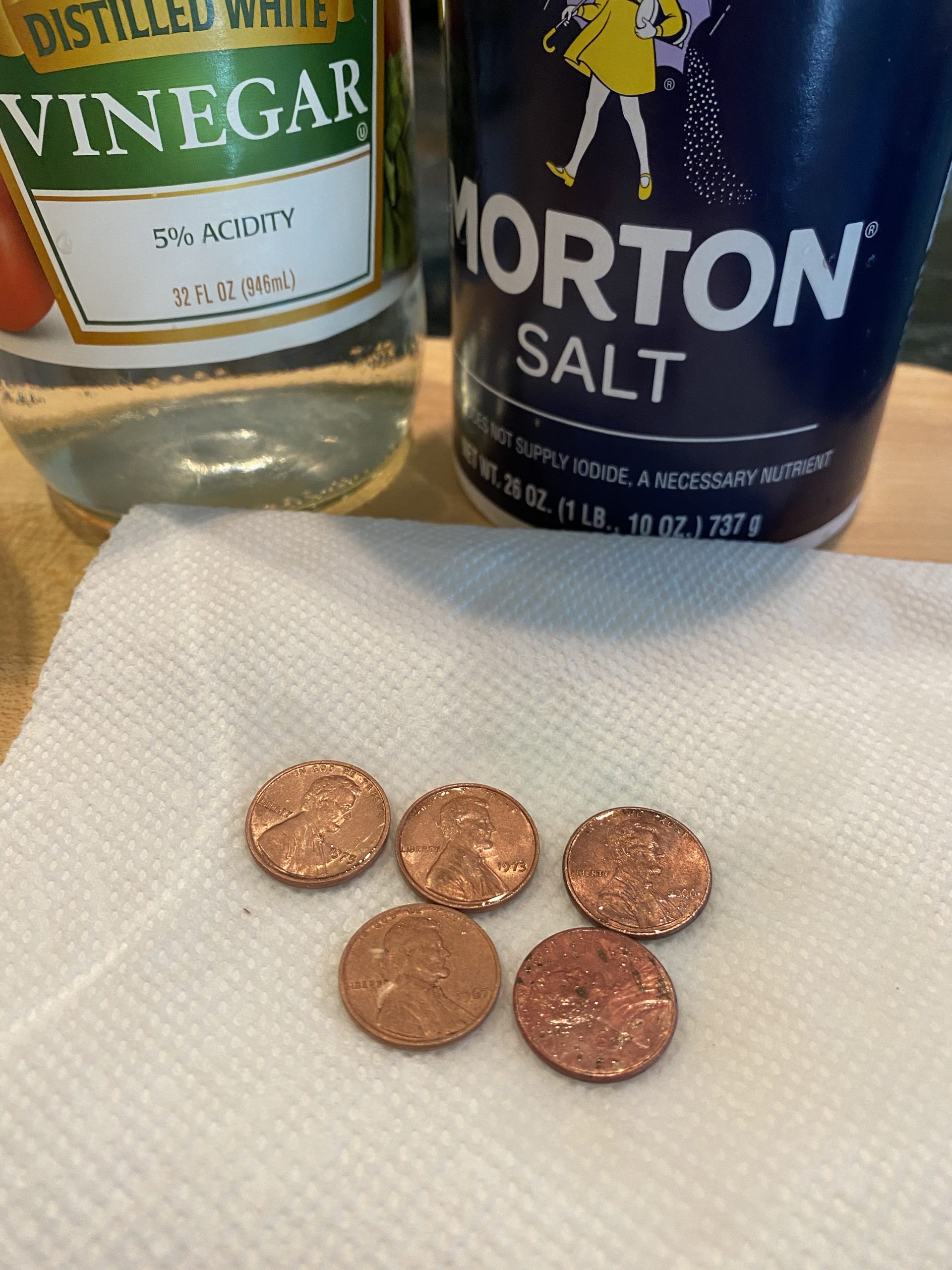 Shiny Pennies - Caryn Antonini